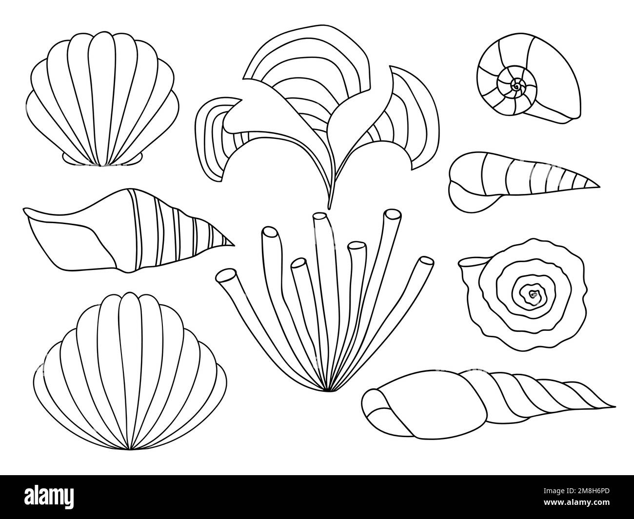 Vector sea shell set Stock Vector Image & Art - Alamy