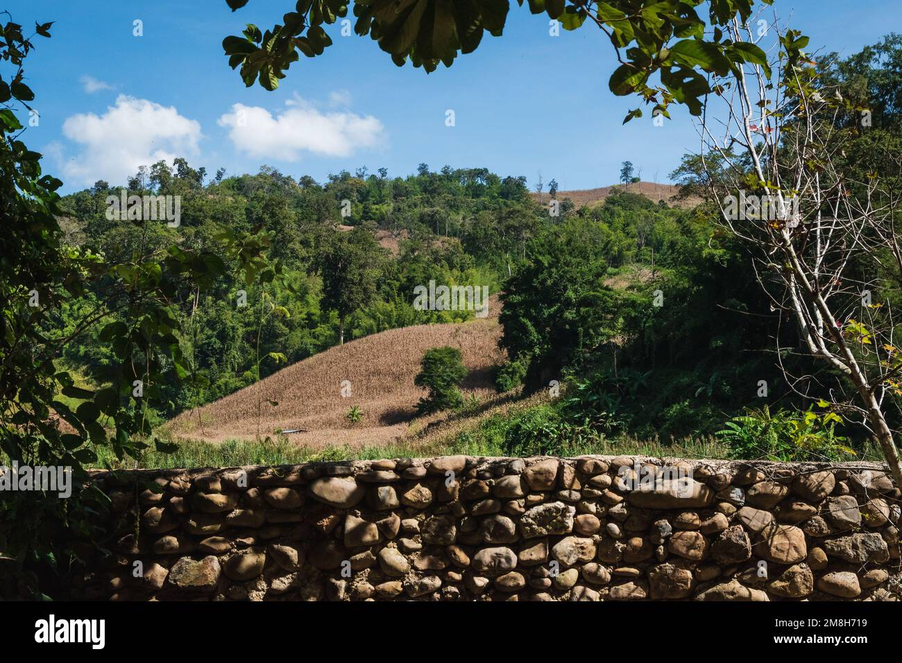 Stone wall in the East Asian countryside Stock Photo - Alamy