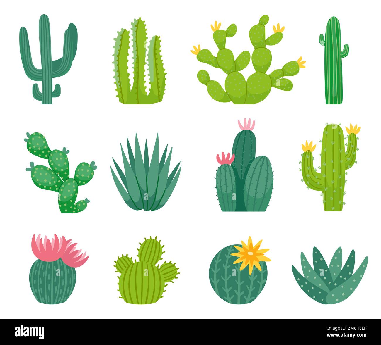 Mexican cactus and aloe. Wild exotic plant with sharp spikes and flower ...