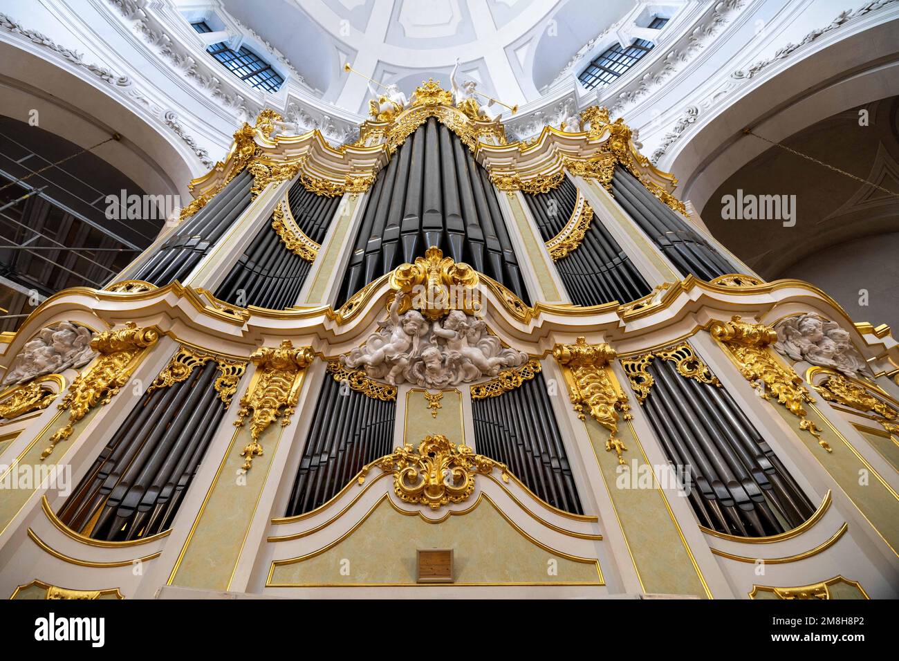 Preserved organs hi-res stock photography and images - Alamy