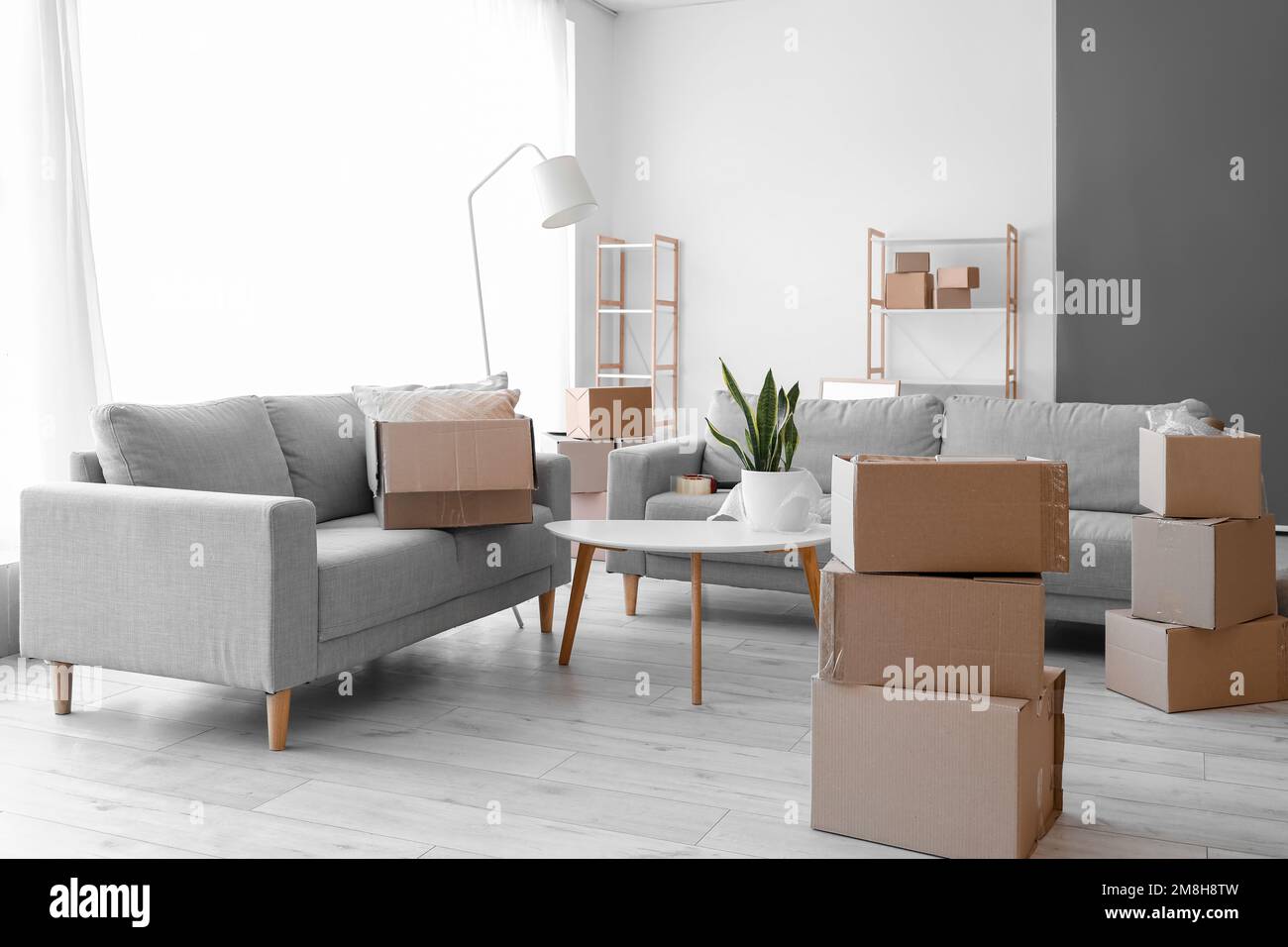 Cardboard boxes with table and sofas in living room on moving day Stock ...