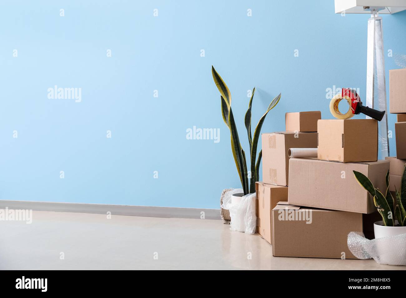 Moving cardboard boxes with adhesive tape and houseplants near blue ...