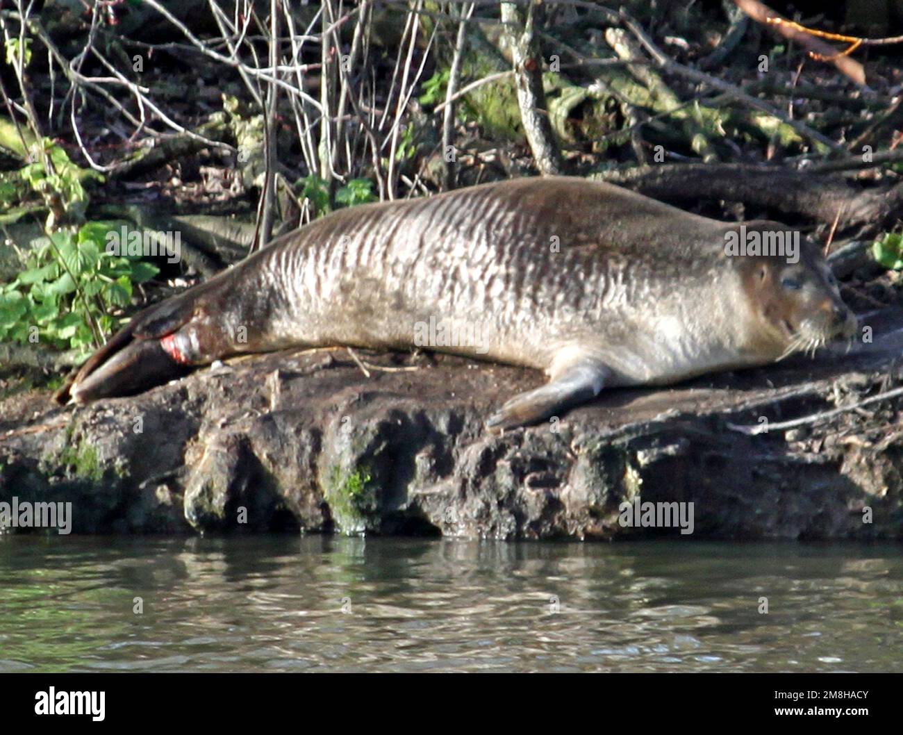Rochford reservoir fishing lake hi-res stock photography and images - Alamy