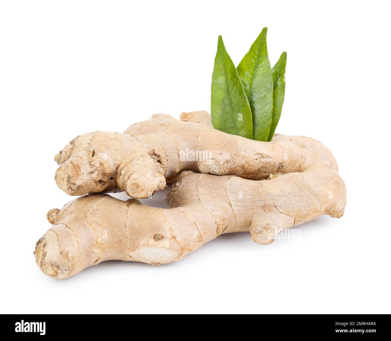 Fresh ginger roots and leaves on white background Stock Photo - Alamy