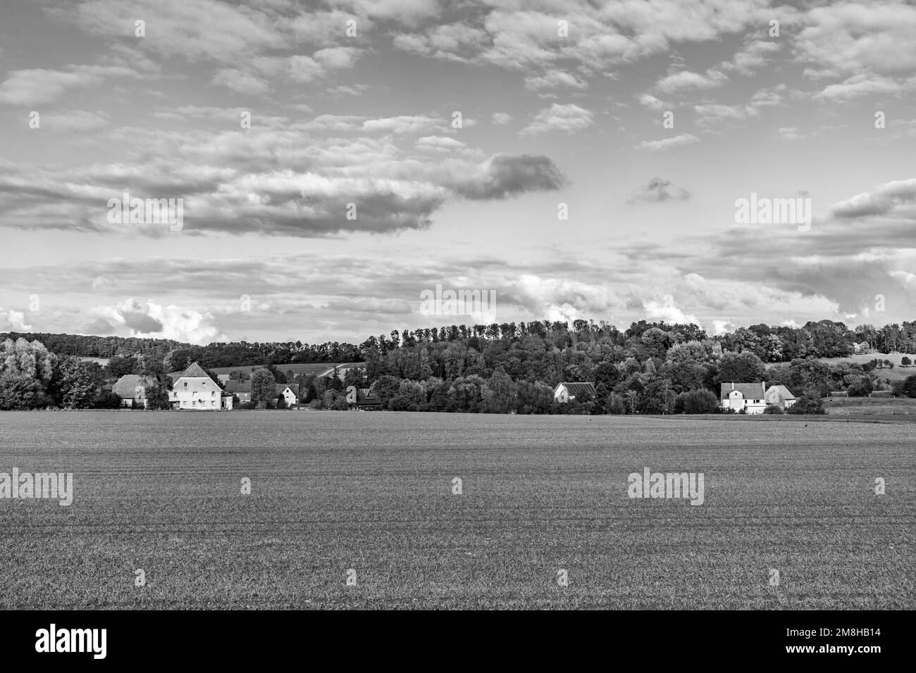 rural landscape with fields in the Lippe Region at Horn, village of ...