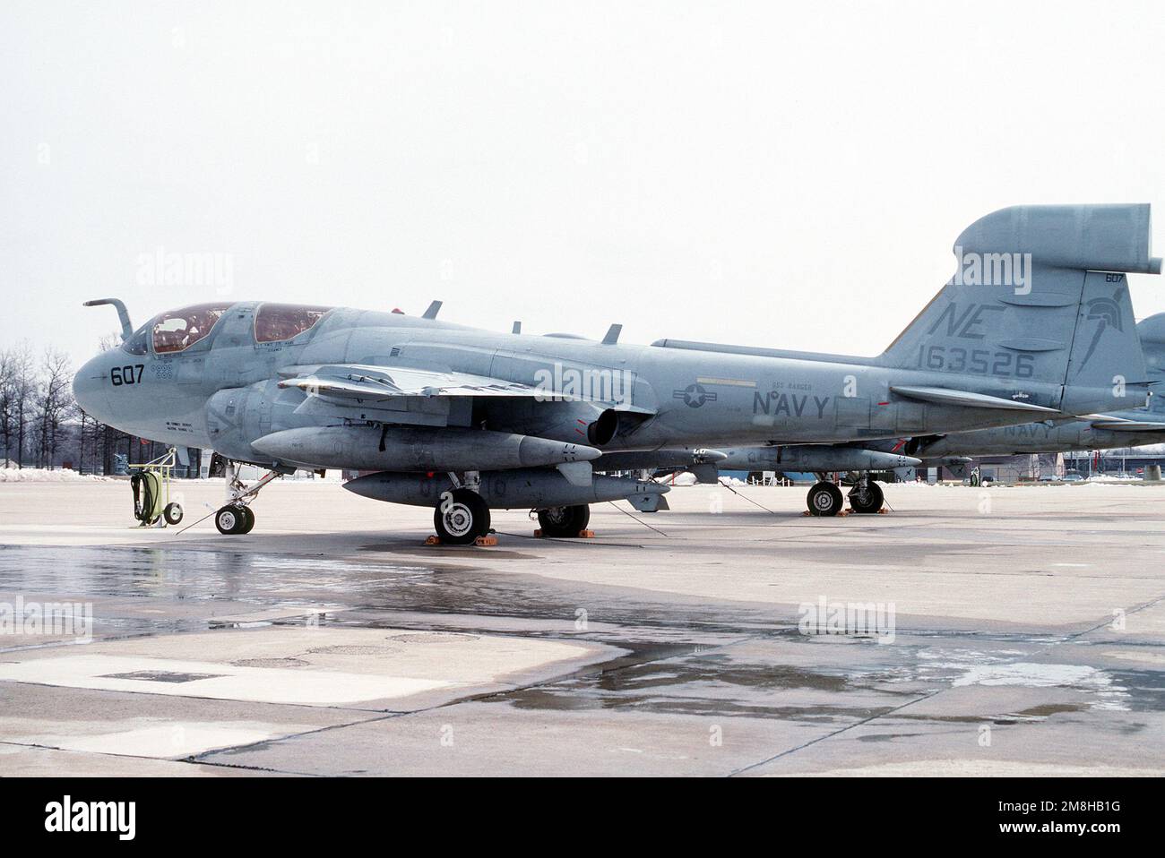 A left side view of a Tactical Electronic Warfare Squadron 131 (VAQ-131 ...
