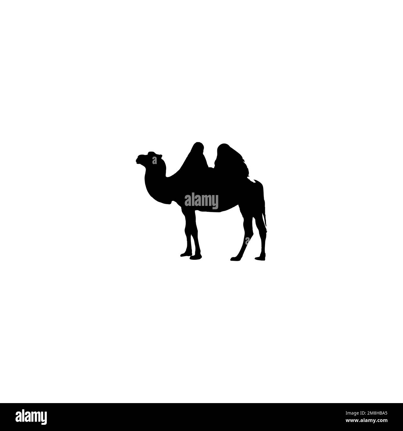 Camel icon. Simple style Saudi Arabia travel big sale poster background ...