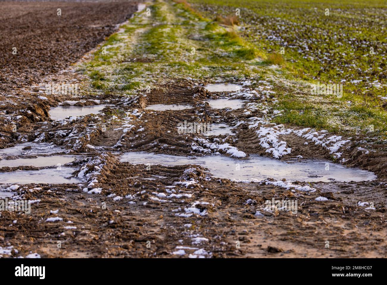 Dirt road with puddles hi-res stock photography and images - Alamy