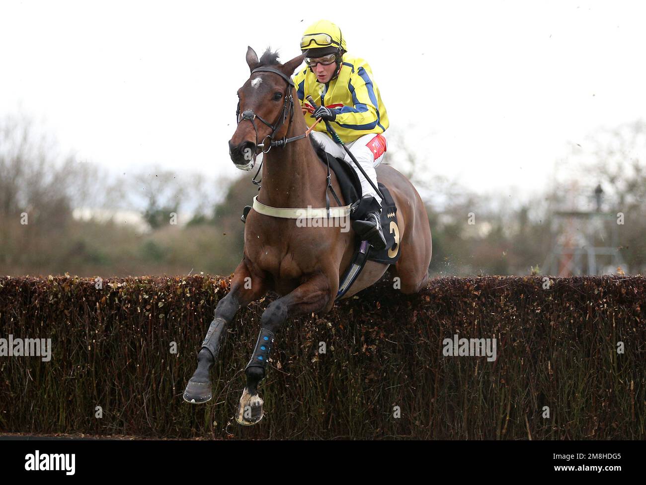 Haddex Des Obeaux ridden by Jamie Moore goes on to win The Wigley ...