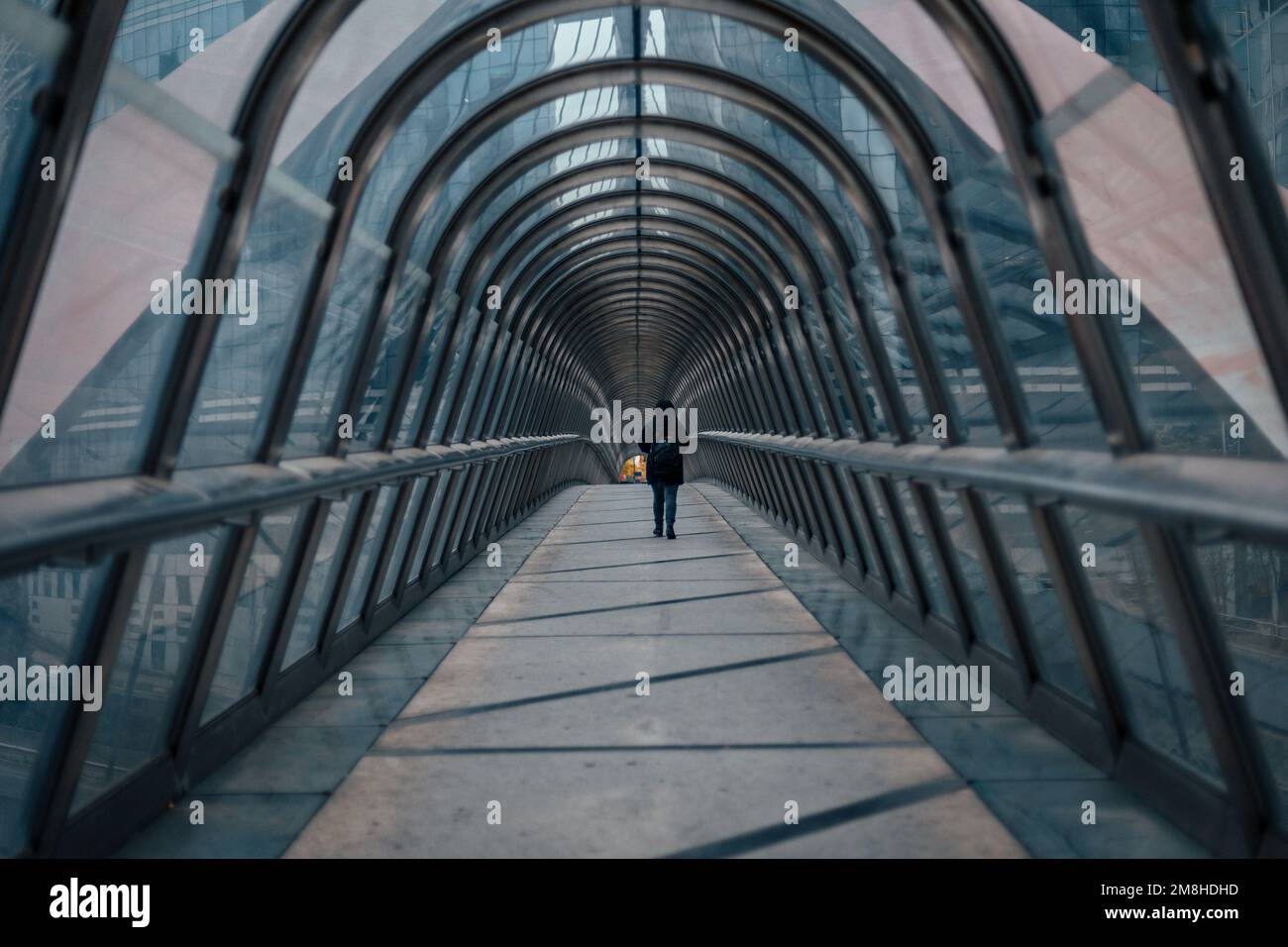 Japan bridge paris hi-res stock photography and images - Alamy