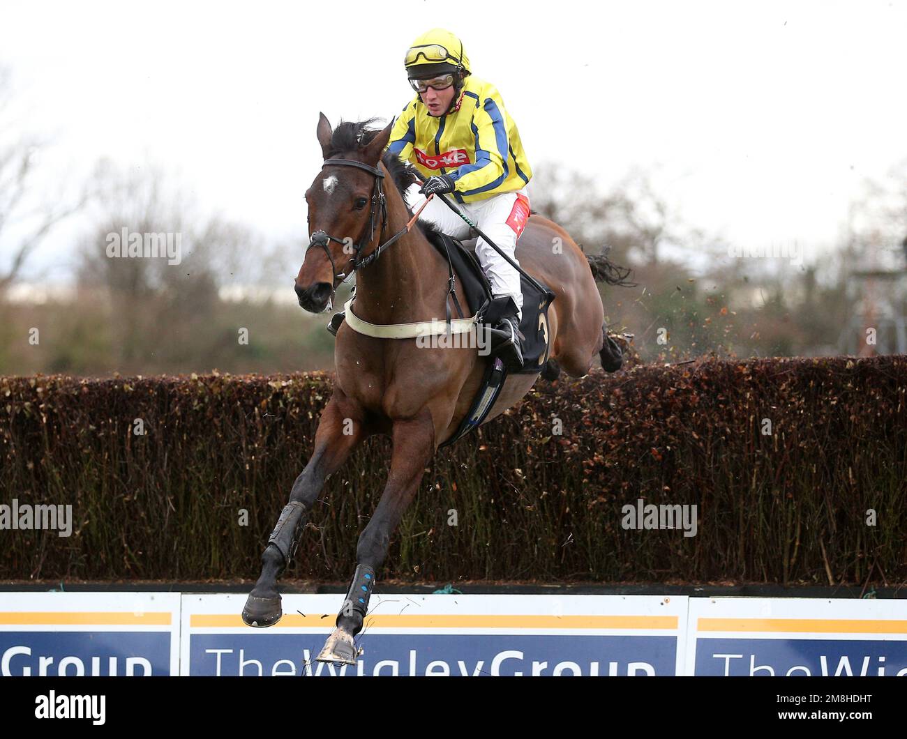 Haddex des obeaux racecourse hi-res stock photography and images - Alamy