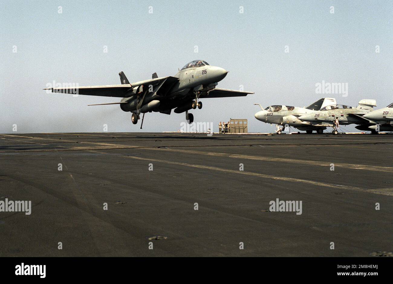 A Fighter Squadron 84 (VF-84) F-14A Tomcat aircraft lands on the ...