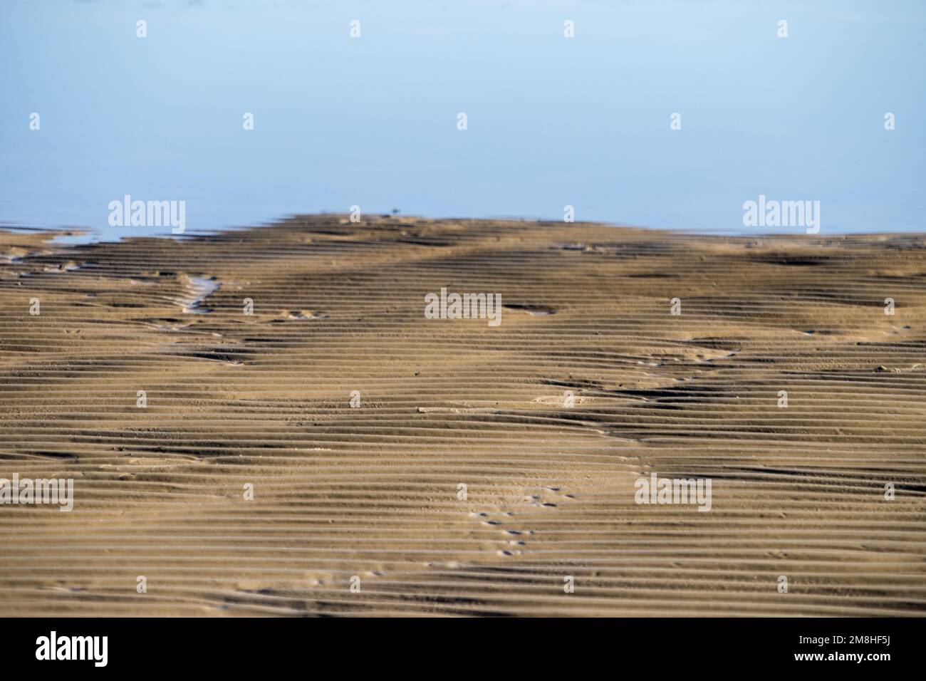ripples in the sand on a beach near a puddle of water Stock Photo - Alamy