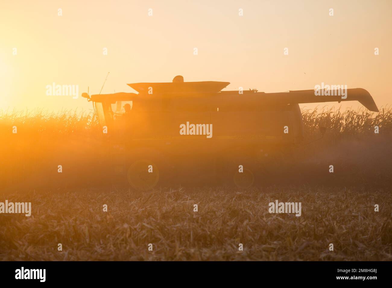 63801-06710 John Deere combine harvesting corn at sunset, Marion Co ...