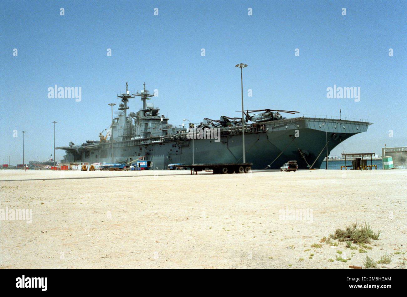 Arab wasp hi-res stock photography and images - Alamy