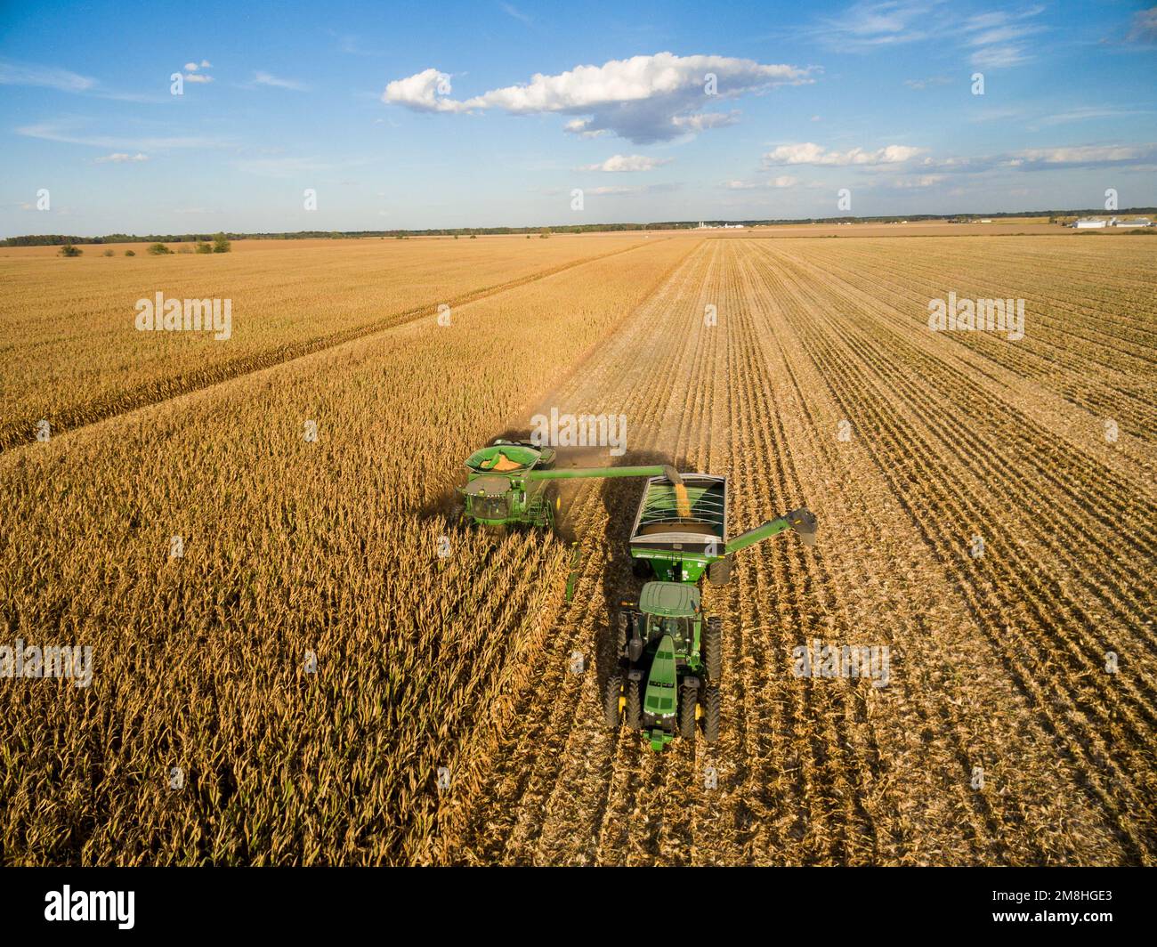 63801-08206 Corn Harvest, John Deere combine unloading corn into grain ...