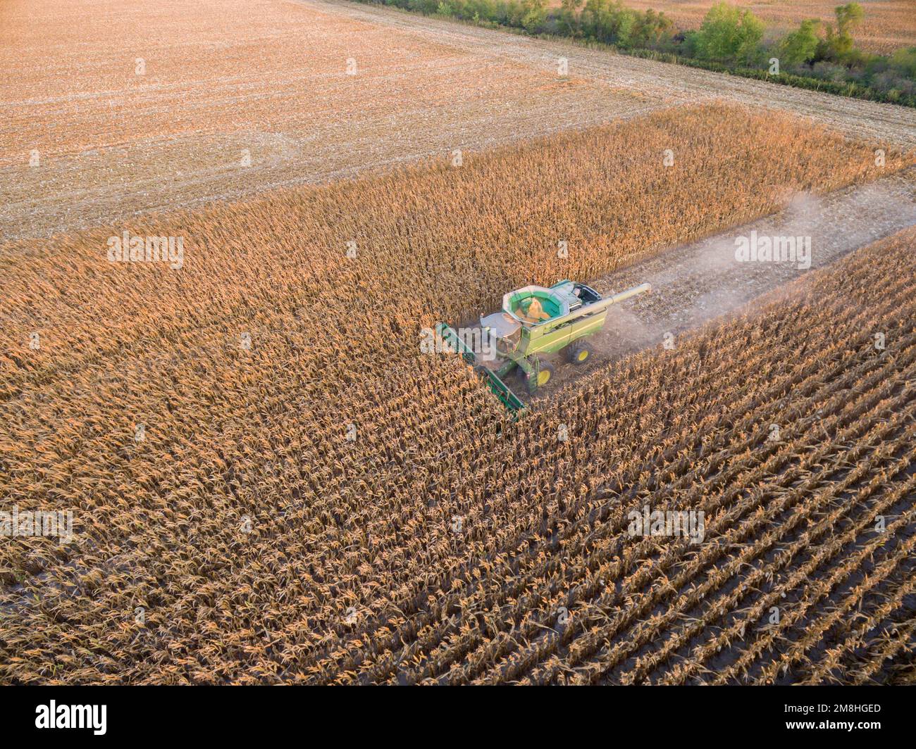 63801-08419 Corn Harvest, John Deere combine harvesting corn - aerial ...