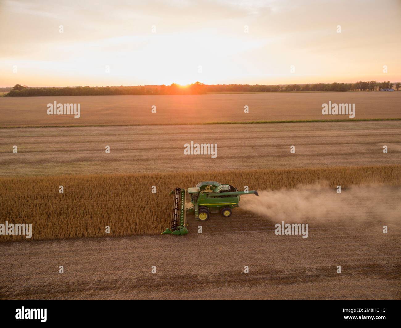 63801-09111 Soybean Harvest, John Deere combine harvesting soybeans at ...