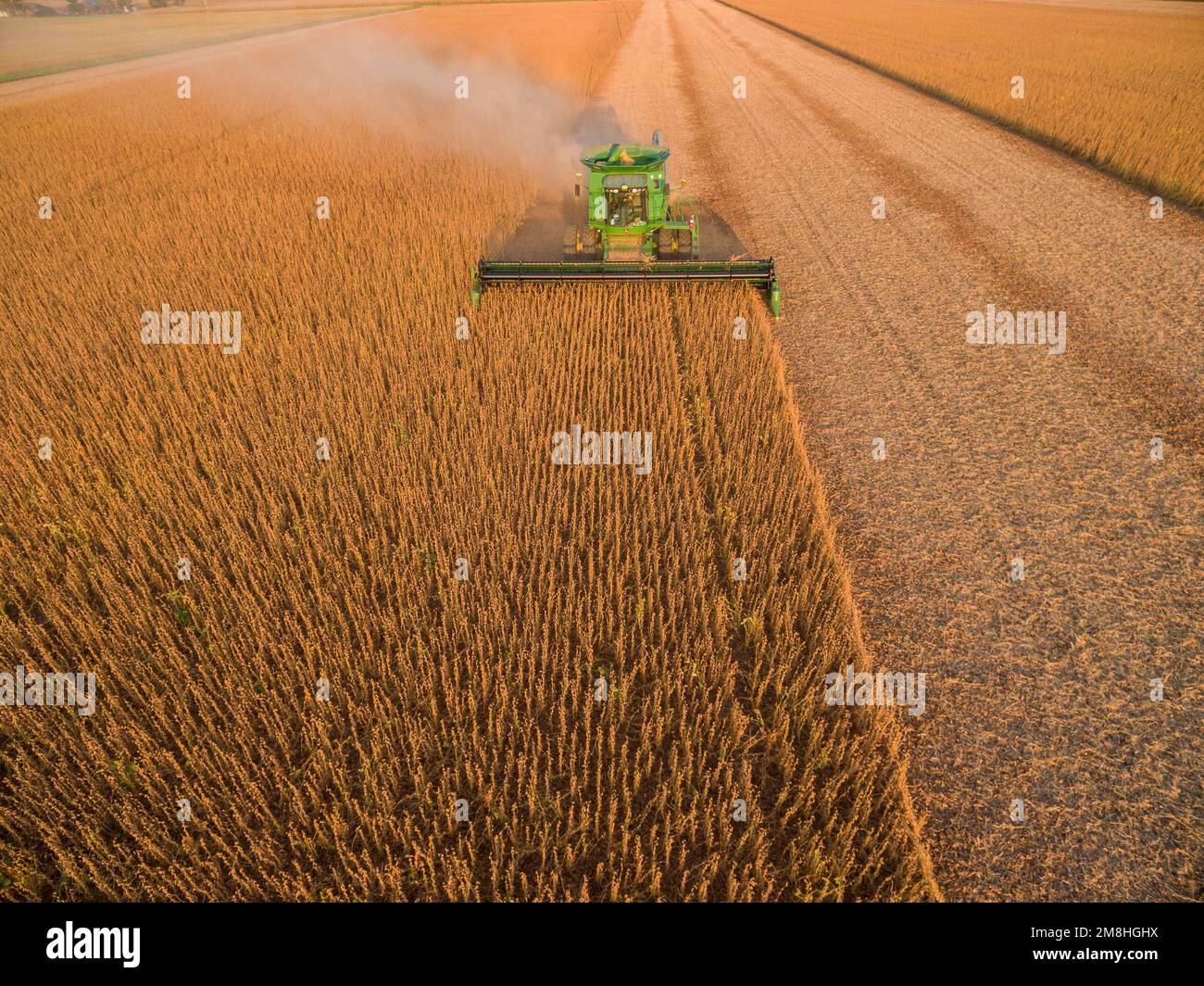 63801-09302 Soybean Harvest, John Deere combine harvesting soybeans ...