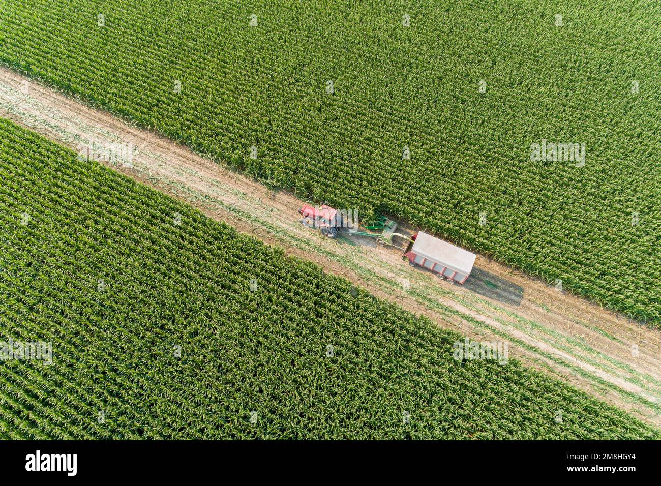 63801-10707 Farmer cutting corn for silage-aerial Marion Co. IL Stock ...