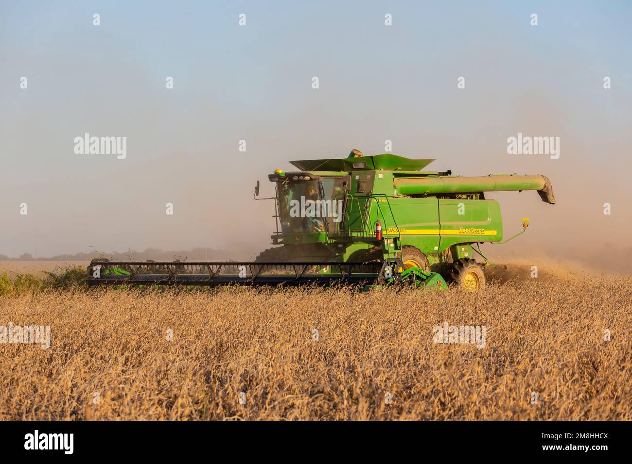63801-13203 Harvesting soybeans in fall Marion Co. IL Stock Photo - Alamy