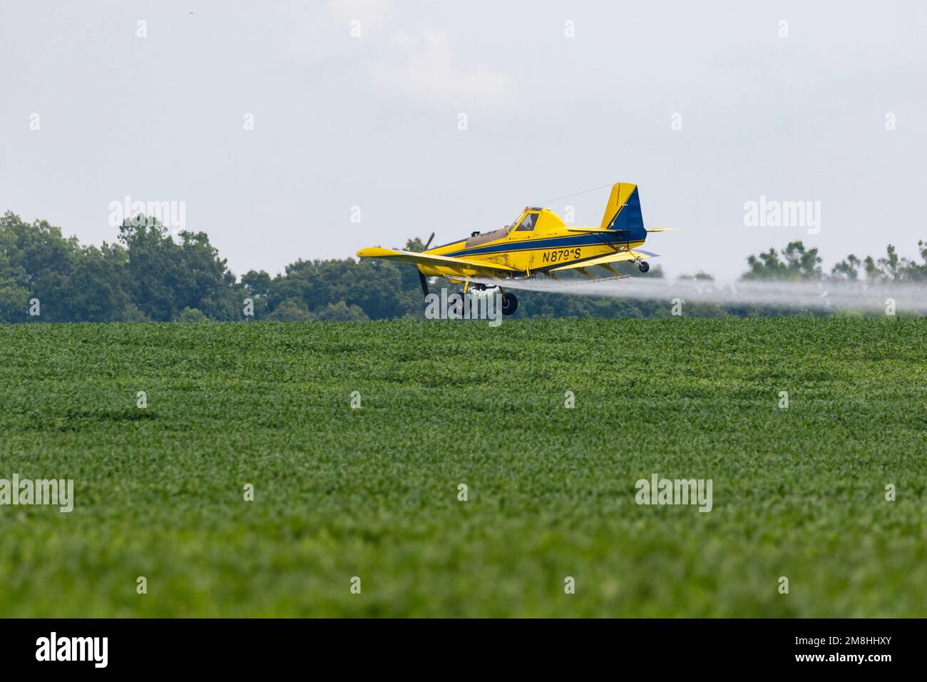 63801-16516 Airplane spraying fungicide on a soybean field Marion Co ...