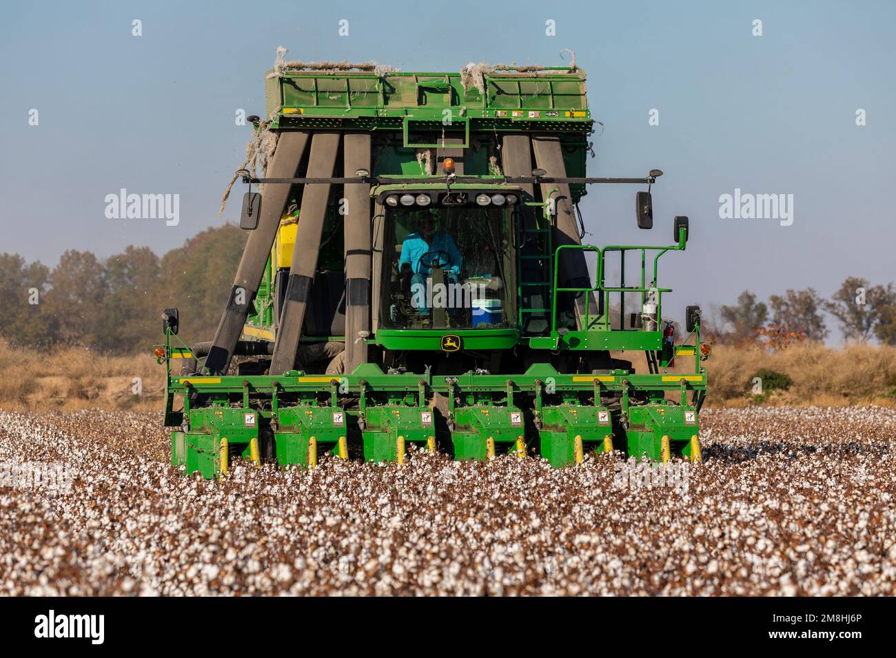 Cotton picker hi-res stock photography and images - Alamy