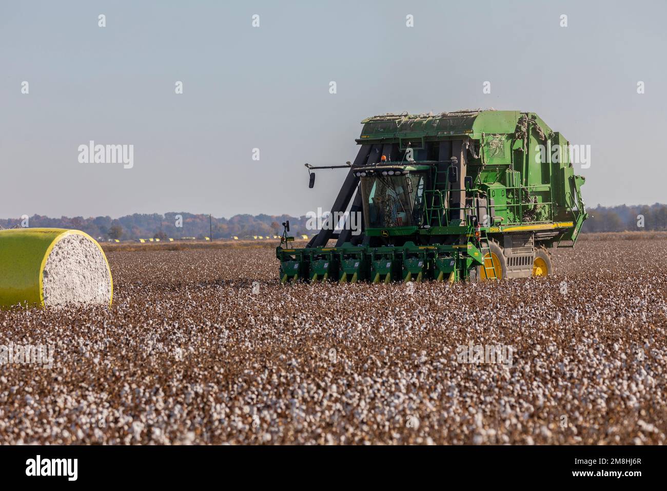 Cotton picker hi-res stock photography and images - Alamy