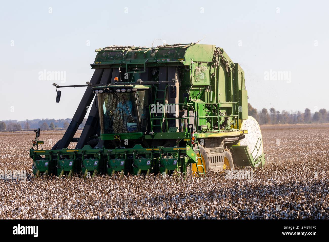 Cotton picker hi-res stock photography and images - Alamy
