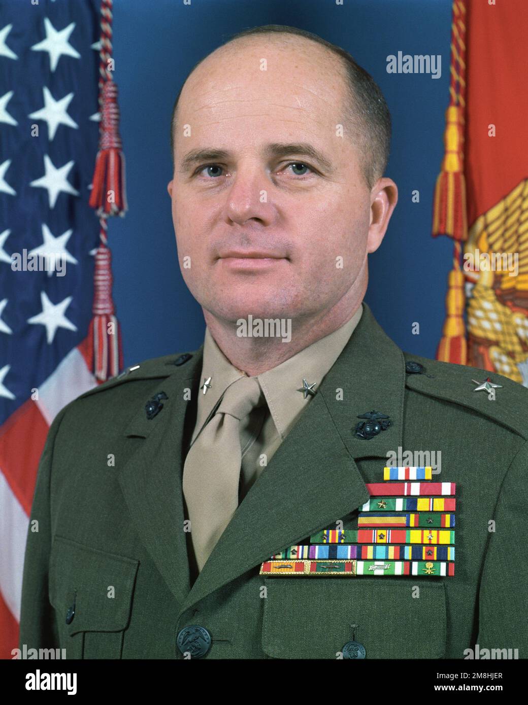 The official officer portrait of Brigadier General Martin R. Steele, US ...