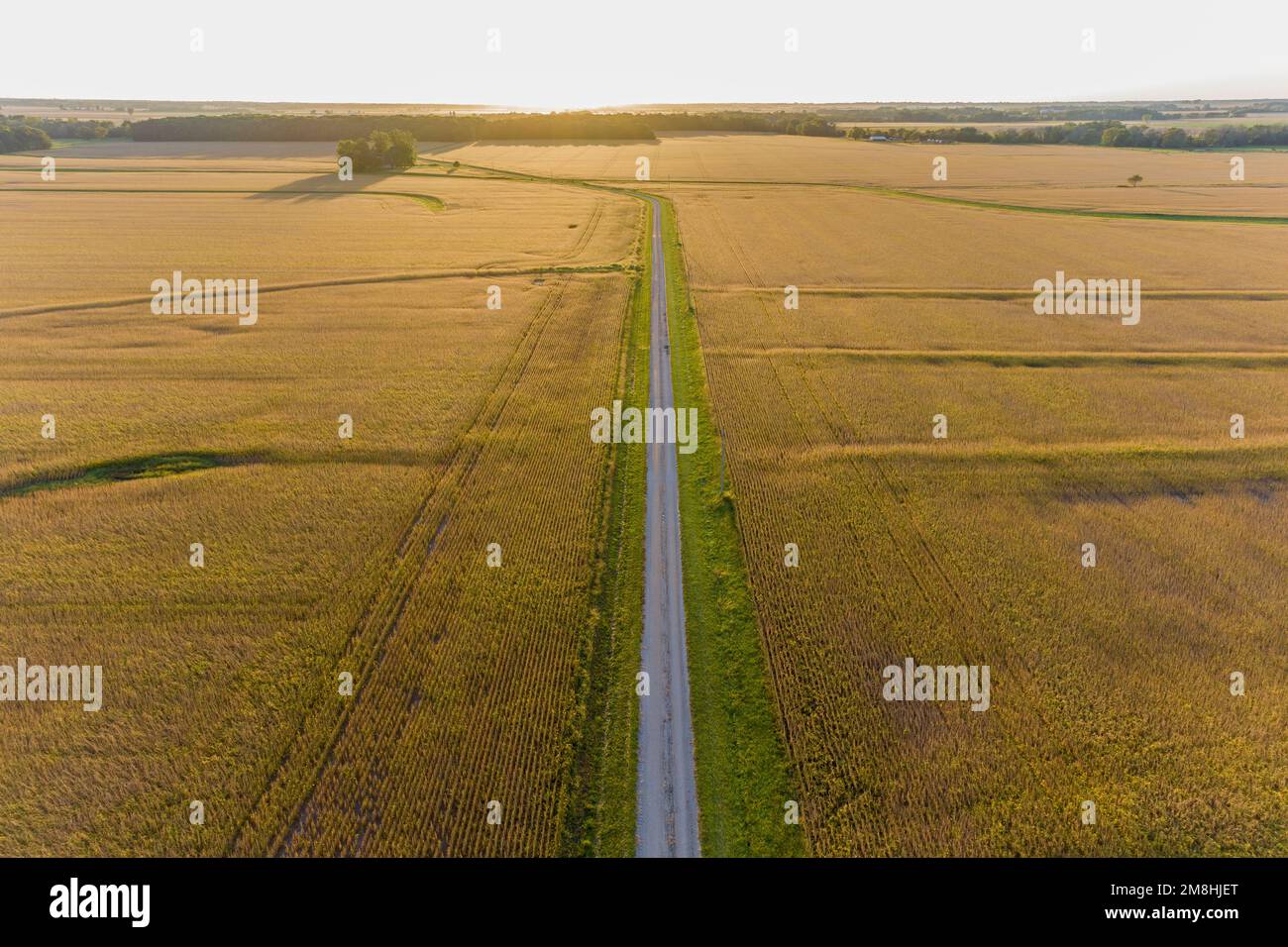 Soybean fields hi-res stock photography and images - Alamy