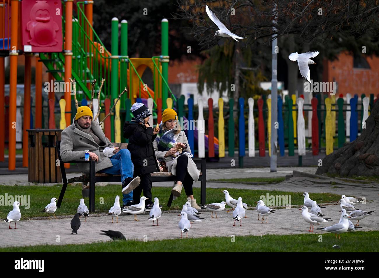 Ohrid, North Macedonia. 14th Jan, 2023. Birds are seen at a playground ...