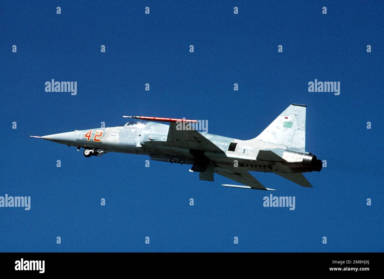 A Strike Fighter Squadron 127 (VFA-127) F-5E Tiger II aircraft, painted ...