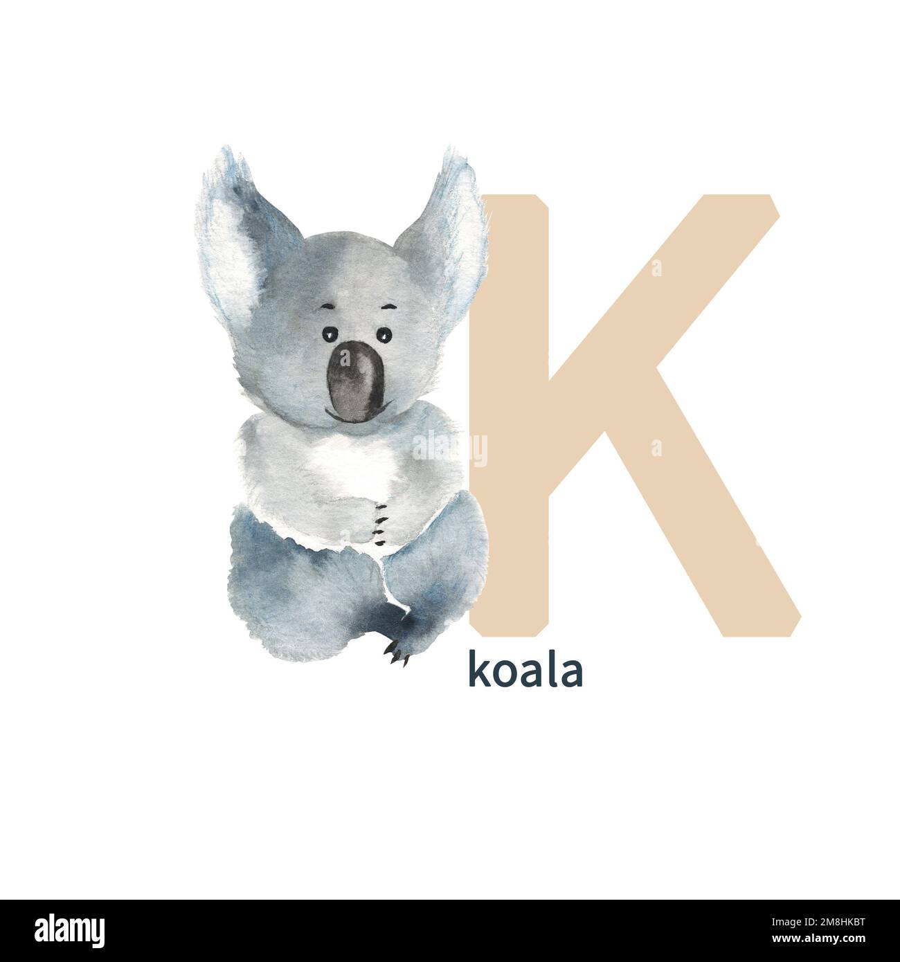 Letter K, koala, cute kids animal ABC alphabet. Watercolor illustration ...