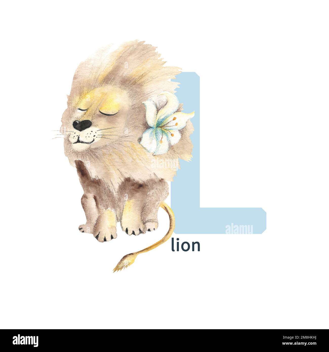 Letter L, lion, cute kids animal ABC alphabet. Watercolor illustration ...