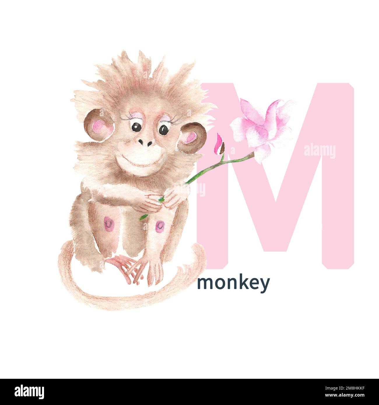 Letter M, monkey, cute kids animal ABC alphabet. Watercolor ...