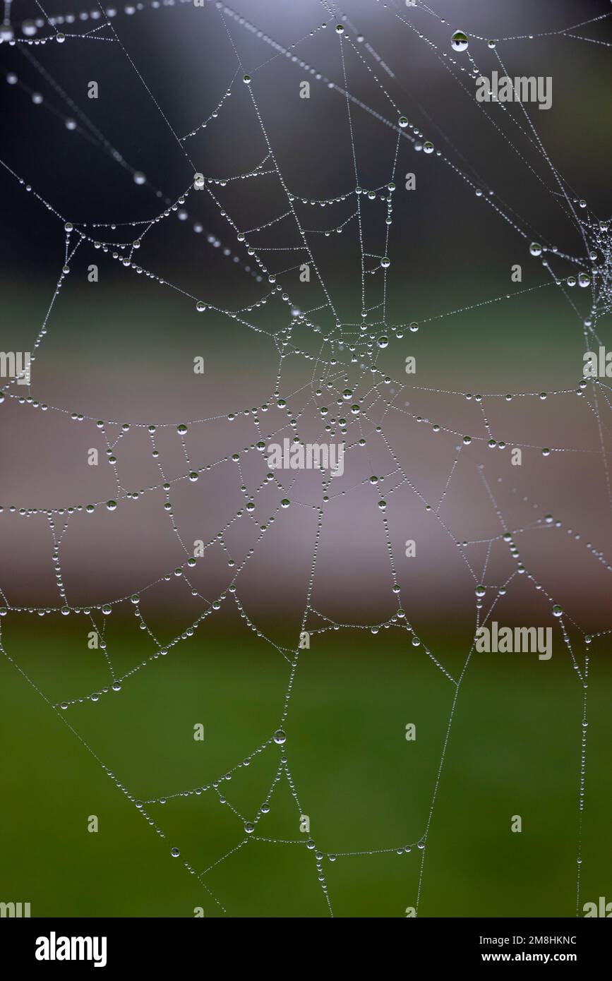 Multiple droplets hi-res stock photography and images - Alamy