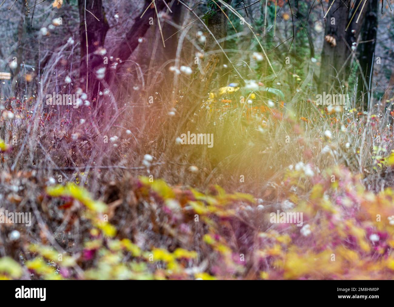Abstract soft focus landscape wallpaper photograph Stock Photo - Alamy