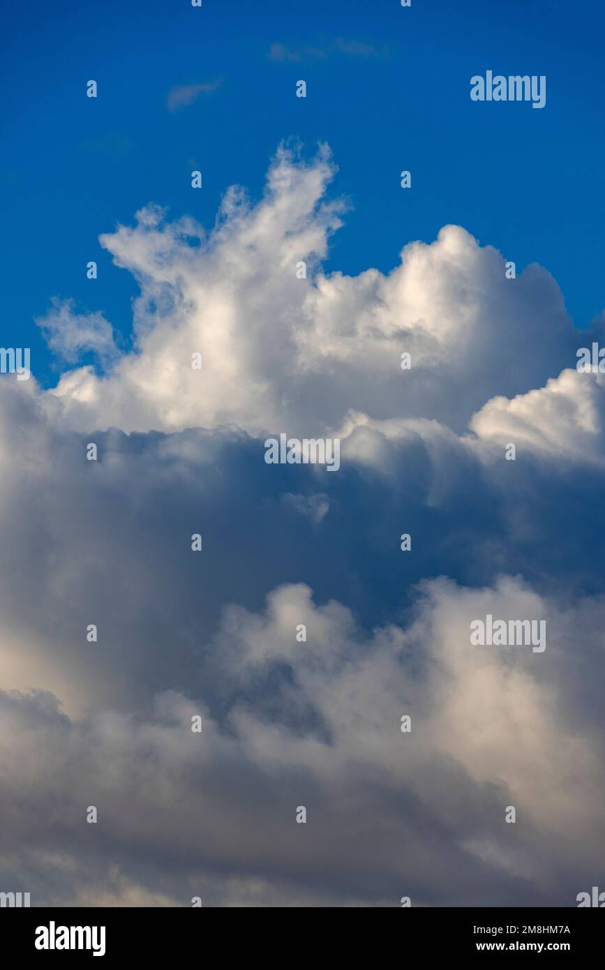 Cumulus clouds against a blue sky Stock Photo - Alamy