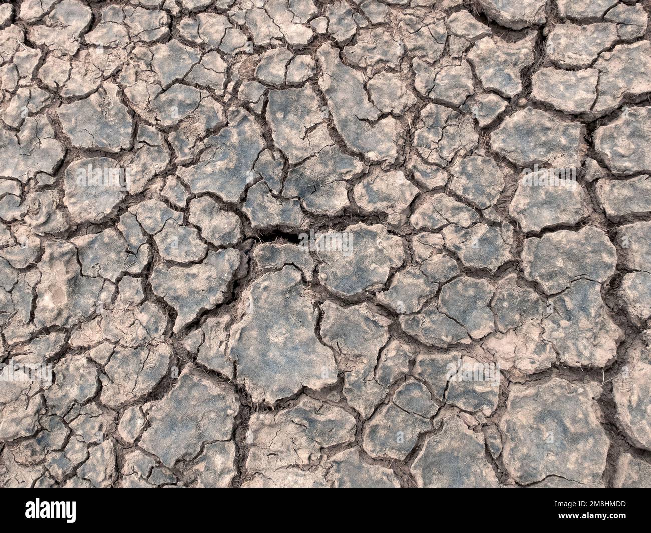 Parched ground due to drought Stock Photo - Alamy