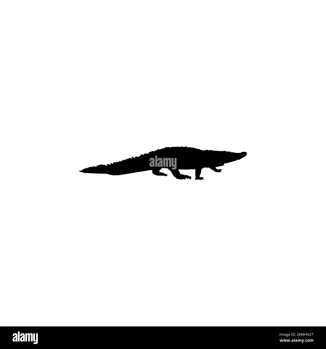 Crocodile icon. Simple style zoology science poster background symbol ...