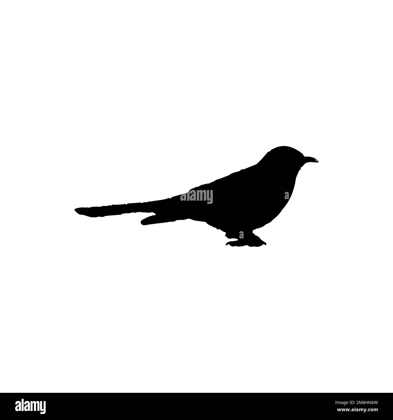 Cuckoo icon. Simple style animal science poster background symbol ...