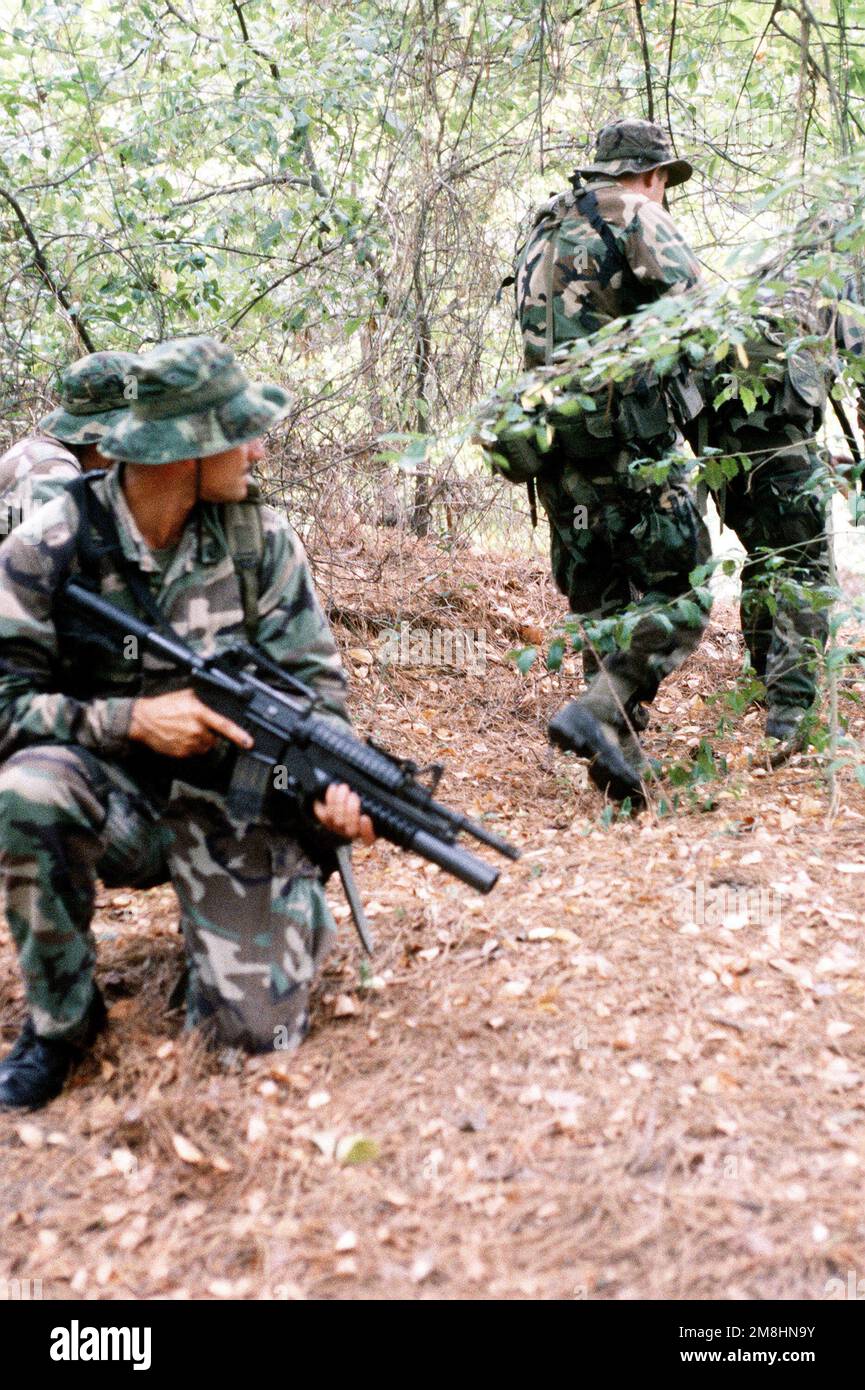 Members of SEAL Team 2. Platoon Alpha, are shown in a training scenario ...