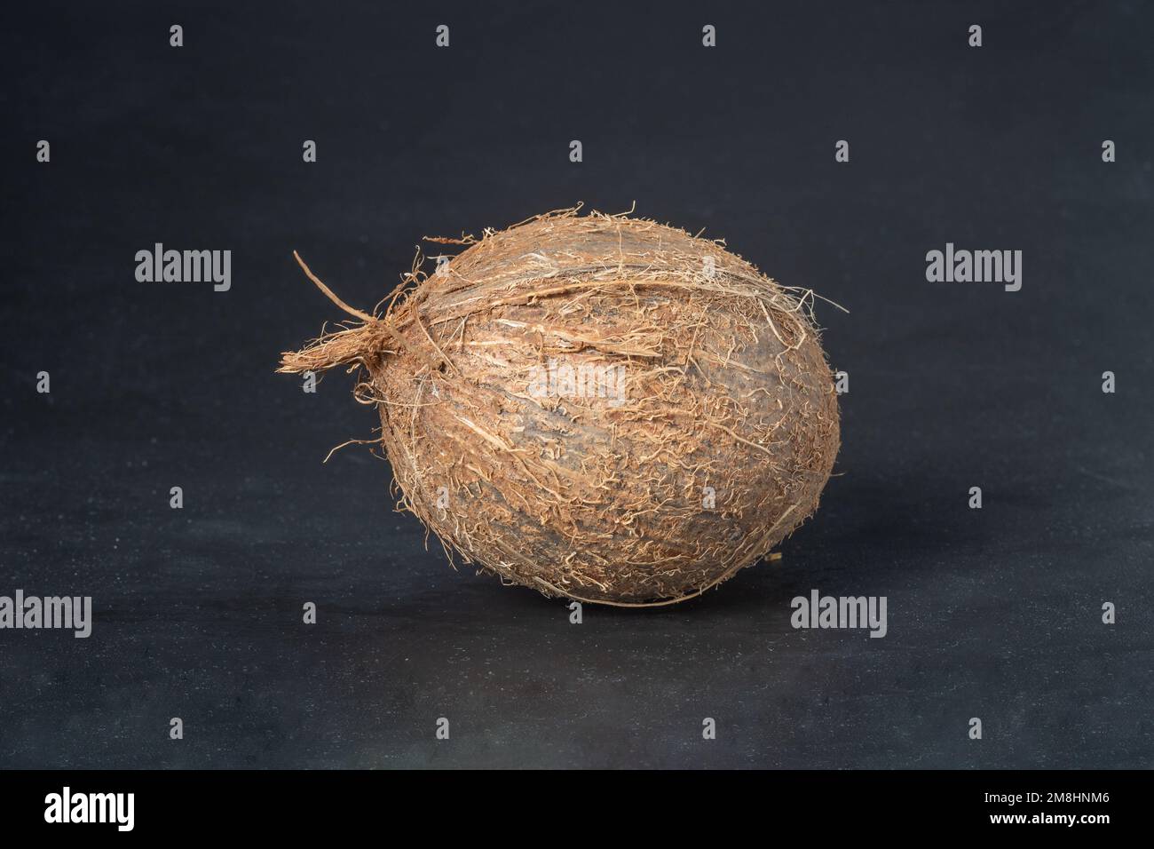 one ripe fresh coconut over dark background Stock Photo - Alamy