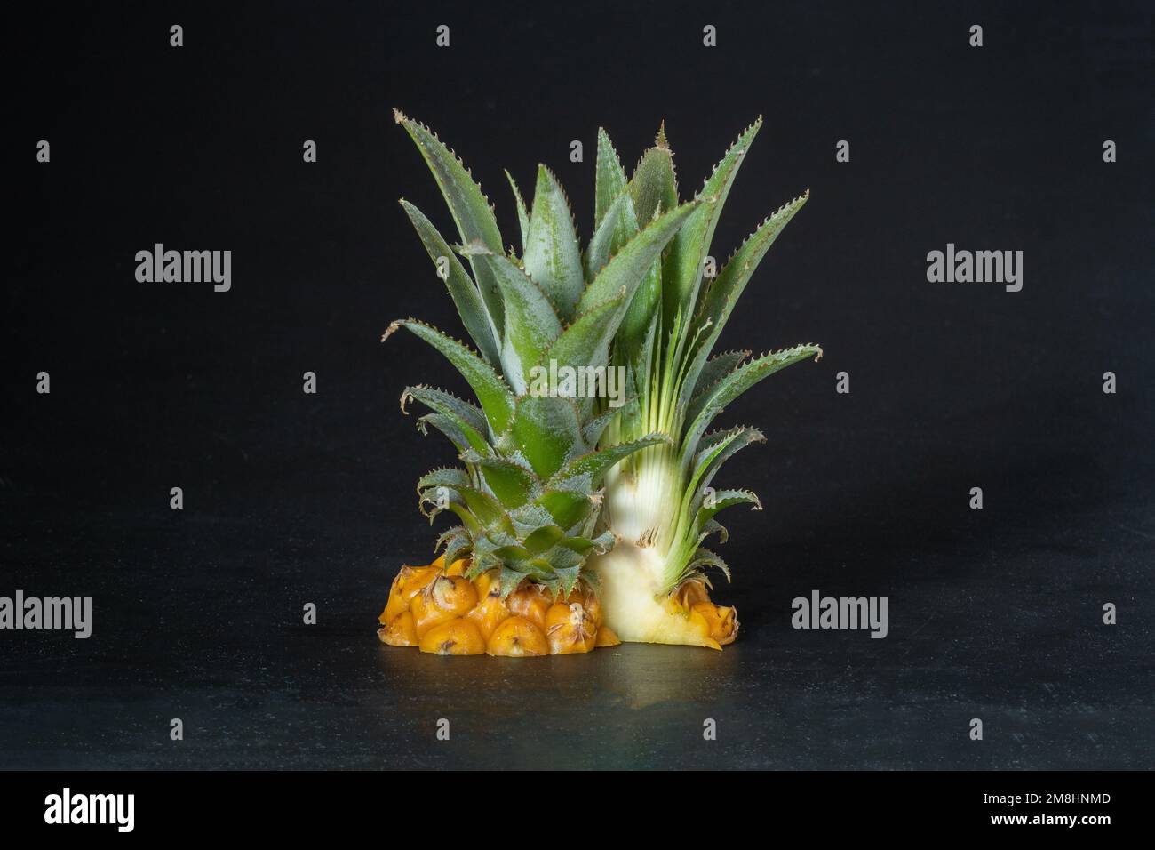 Ripe mini baby pineapple over dark background Stock Photo - Alamy