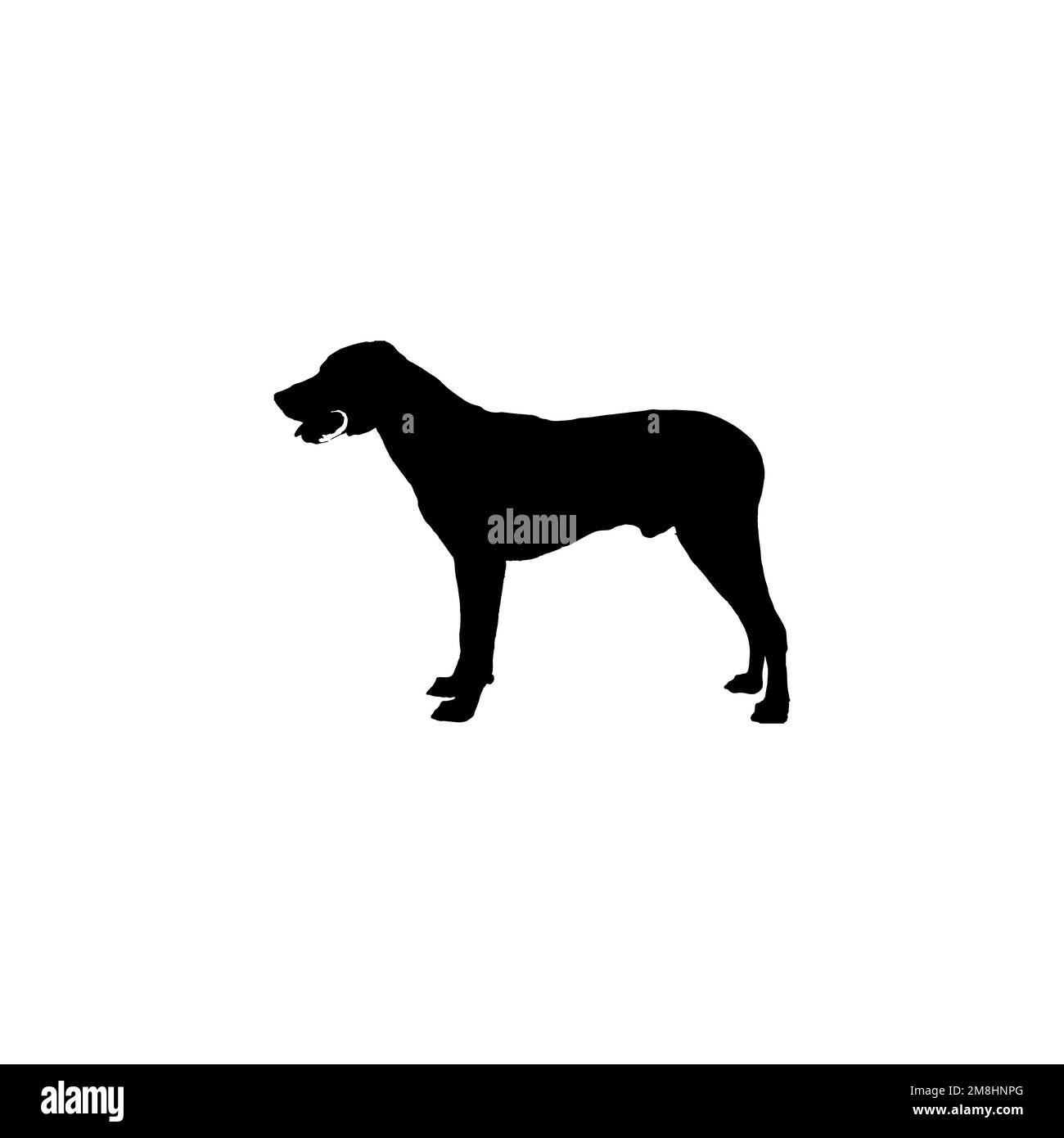 Dog icon. Simple style pet shop poster background symbol. Dog brand ...
