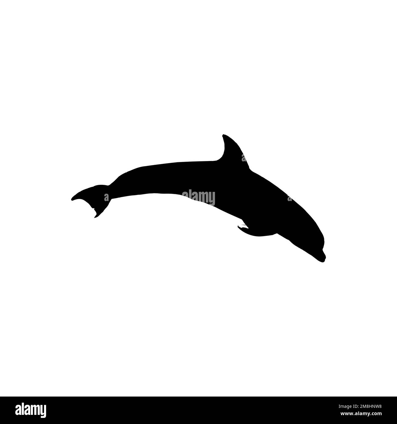 Dolphin icon. Simple style dolphin show poster background symbol ...