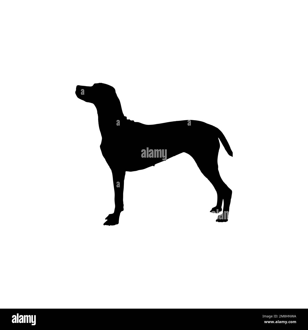 Dog Icon Simple Style Pet Shop Poster Background Symbol Dog Brand