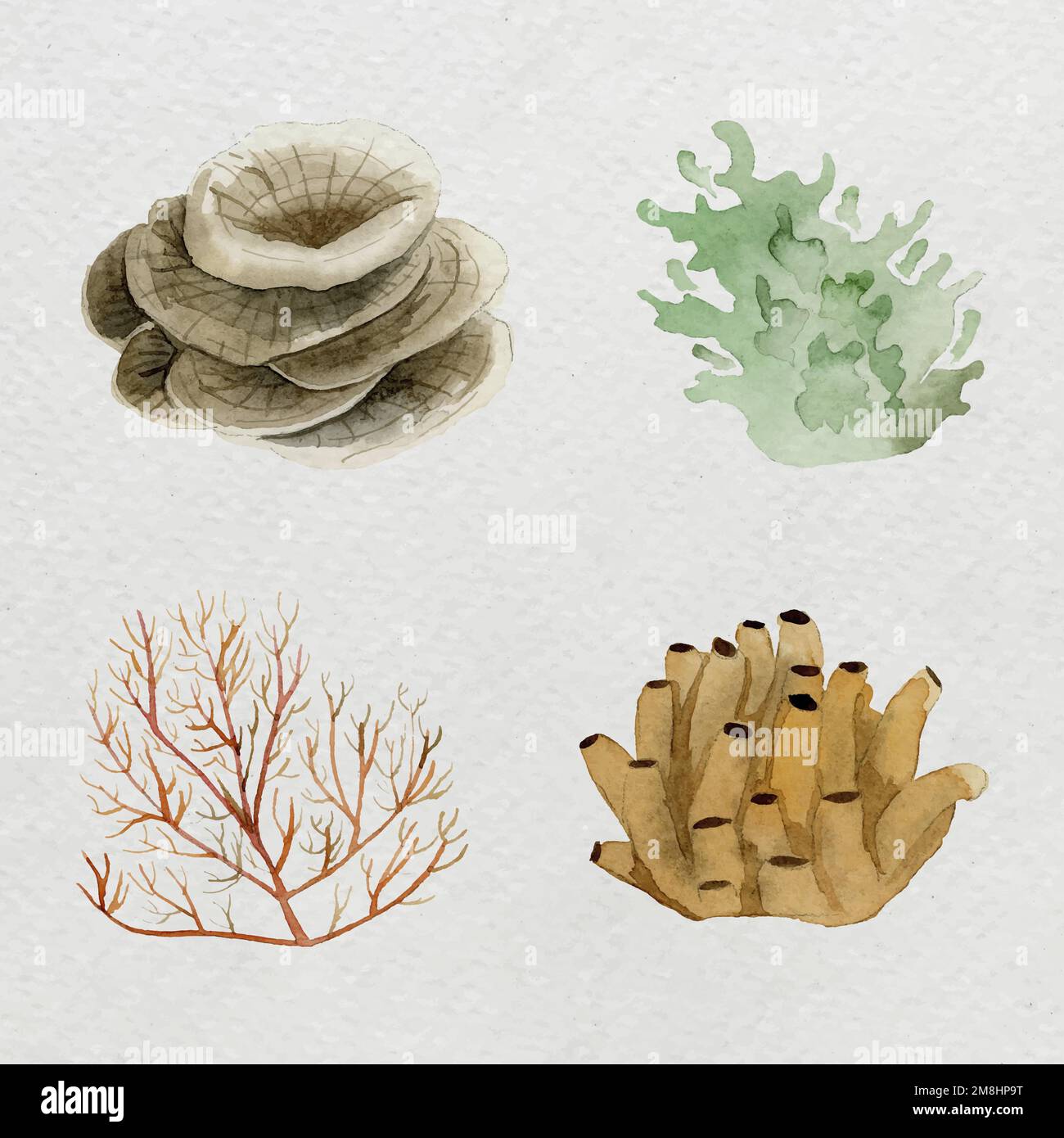 Coral reef set in hi-res stock photography and images - Alamy