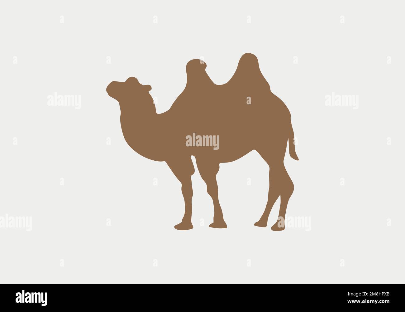 camel icon vector. camel sign on white background. camel icon for web ...